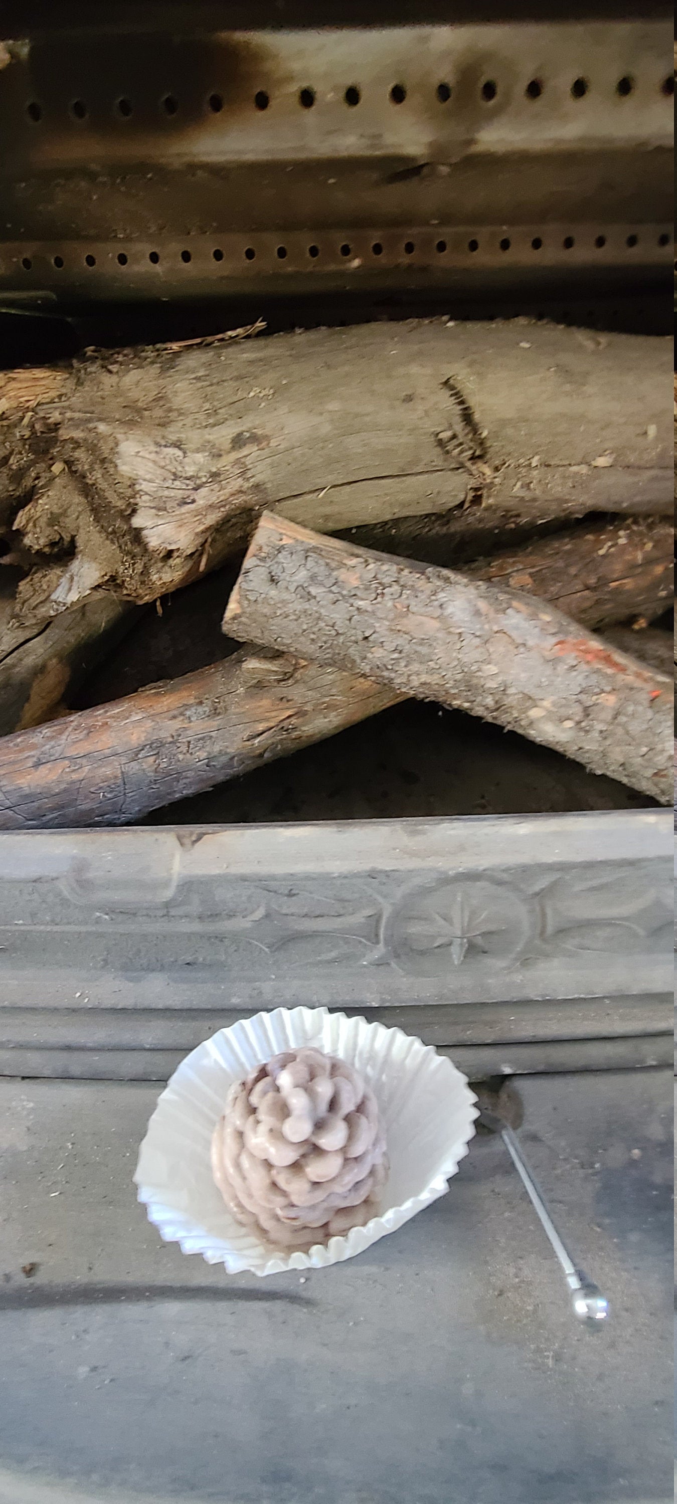 Pine Cone Paraffin Fire Starters – Dory Dozens Delights